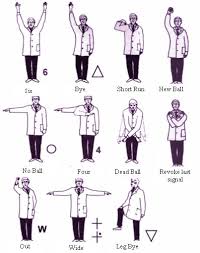 Cricket Umpire Signals